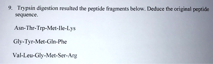 9. Trypsin digestion resulted the peptide fragments below. Deduce the ...