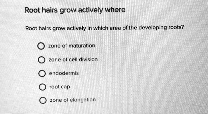 Root hairs grow actively where Root hairs grow actively in which area ...
