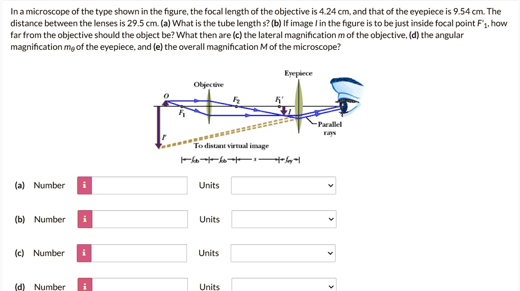 SOLVED:In a microscope of the type shown in the figure; the focal ...