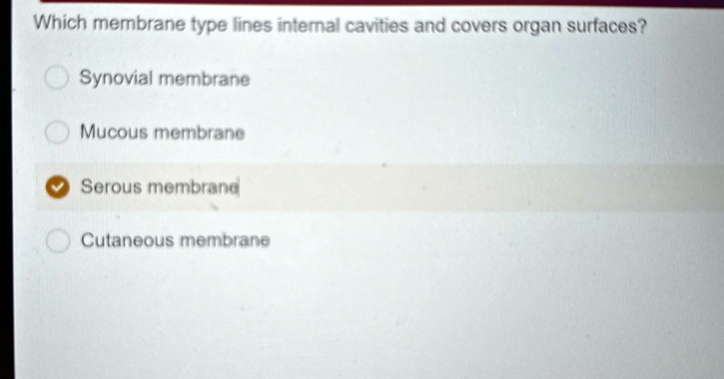 which membrane type lines internal cavities and covers organ surfaces ...