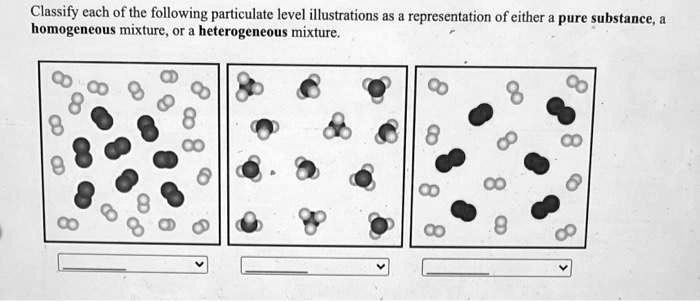classify each of the following particulate level illustrations as ...