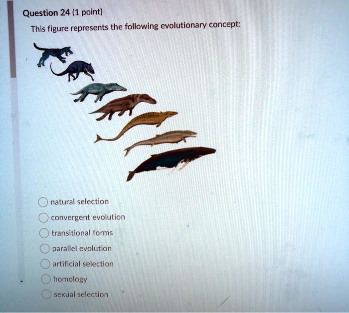 SOLVED: Question 24 (1 point) This figure represents the following ...