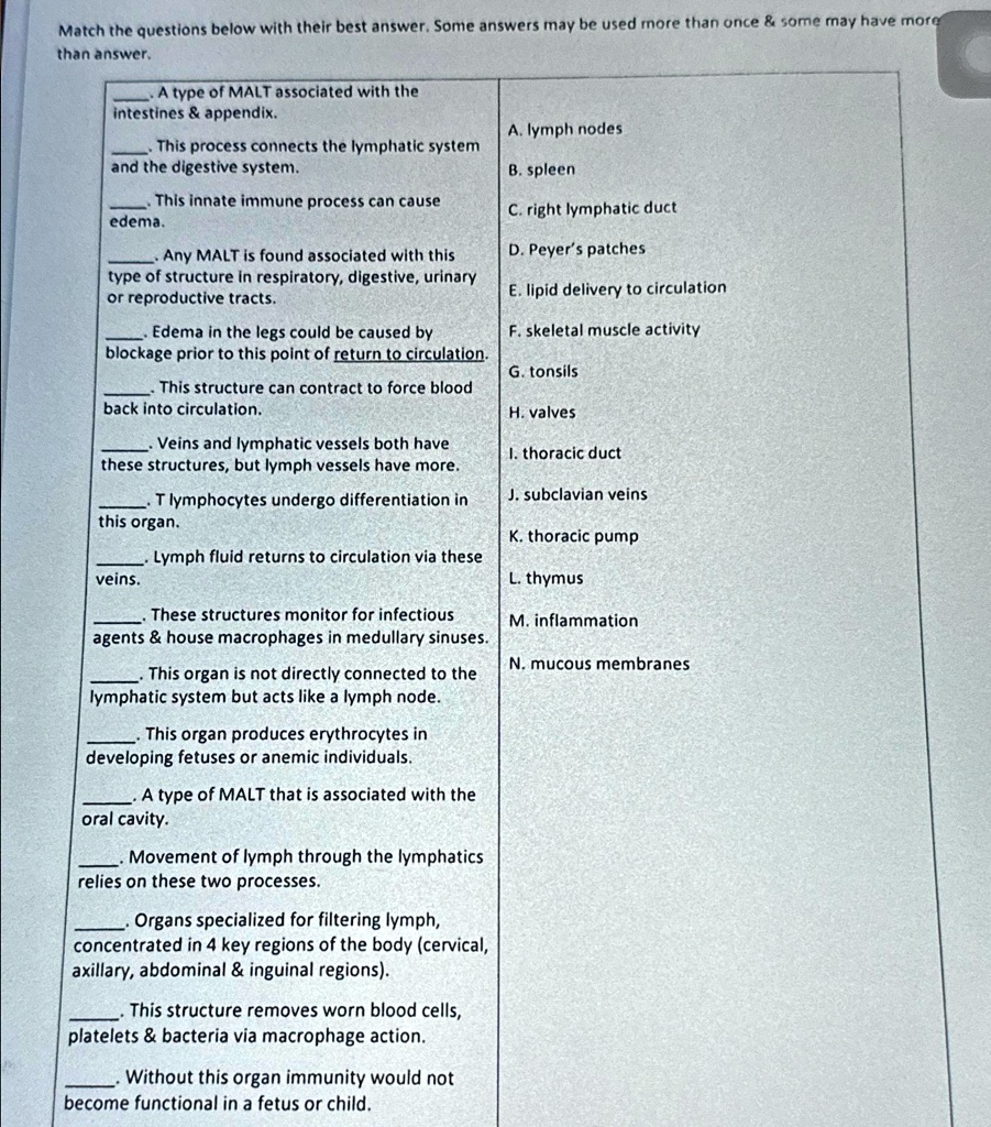 a lymph nodes b spleen c right lymphatic duct d peyers patches e lipid ...