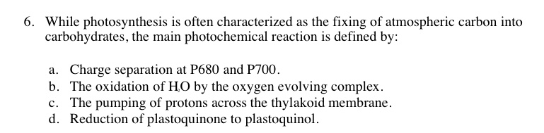 while photosynthesis is often characterized as the fixing of ...
