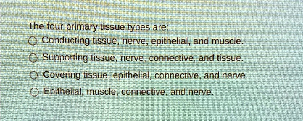 The four primary tissue types are: Conducting tissue, nerve, epithelial ...