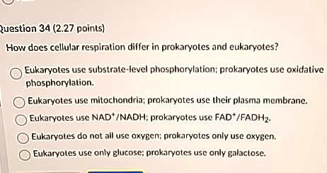 Question 34 (2.27 points) How does cellular respiration differ in ...