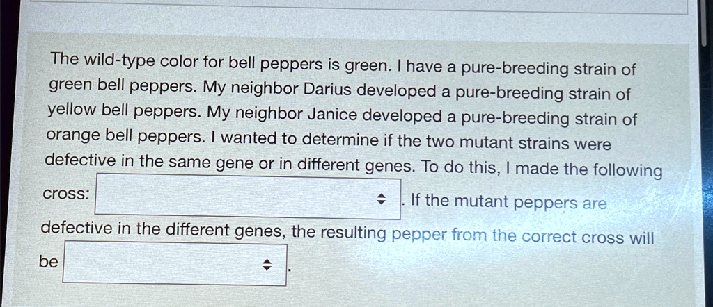the wild type color for bell peppers is green i have a pure breeding ...