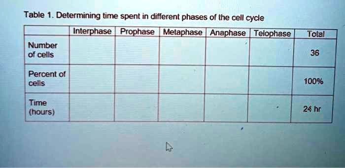 SOLVED: Table 1. Determining time spent in different phases of the cell ...