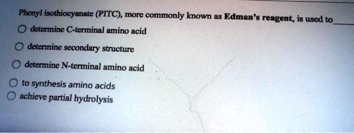 Phenyl isothiocyanate (PITC), more commonly known as Edman's reagent ...