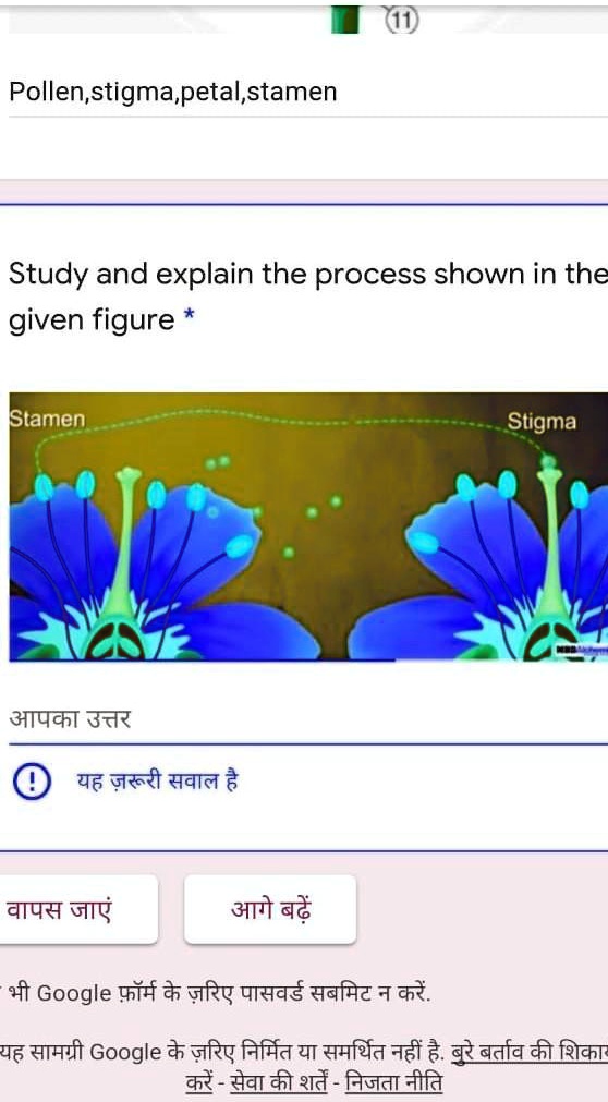 'study and example the process shown in the given figure'