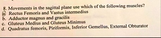 8 movements in the sagittal plane use which of the following muscles a ...