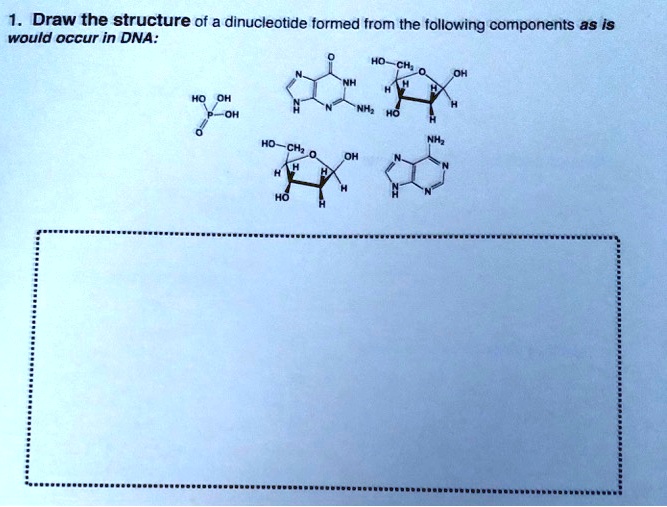 SOLVED: Draw the structure of a dinucleotide formed from the following components as Is would ...