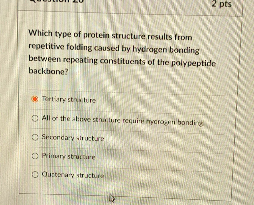 2 12 pts which type of protein structure results from repetitive ...