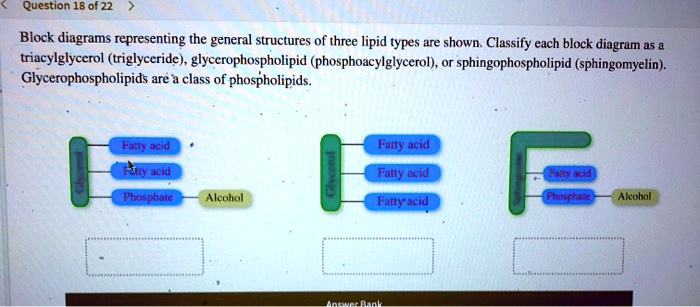 Block diagrams representing the general structures of three lipid types ...