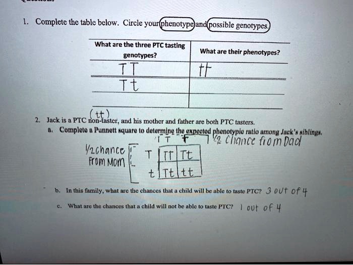SOLVED: Complete the table below. Circle your phenotype and possible ...