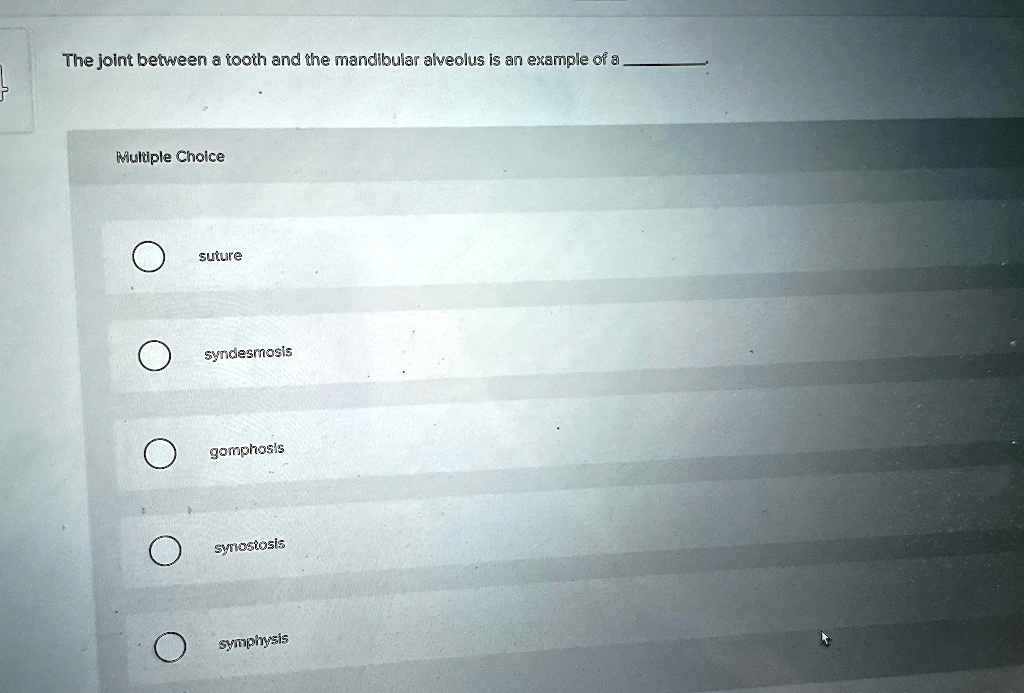 The joint between a tooth and the mandibular alveolus is an example of ...