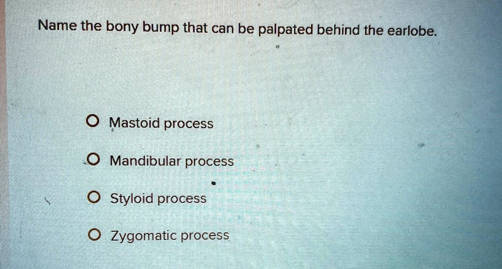 Name the bony bump that can be palpated behind the earlobe. O Mastoid ...
