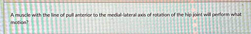 a muscle with the line of pull anterior to the medial lateral axis of ...