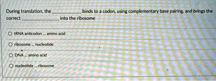 SOLVED: During translation, the tRNA binds to a codon using complementary base pairing and ...