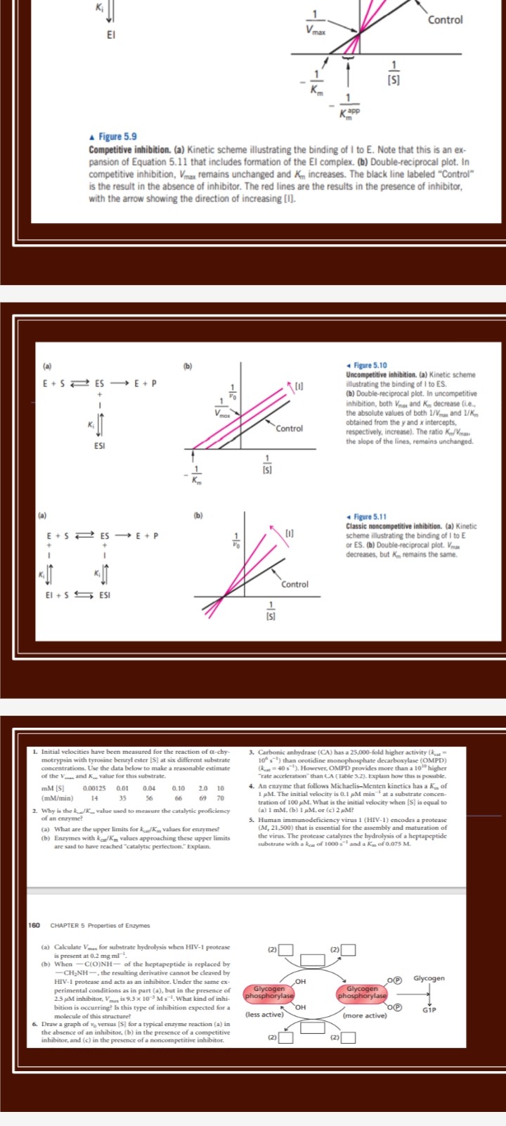 1. Initial velocities have been measured for the reaction of a-chymotrypsin with tyrosine benzyl ...