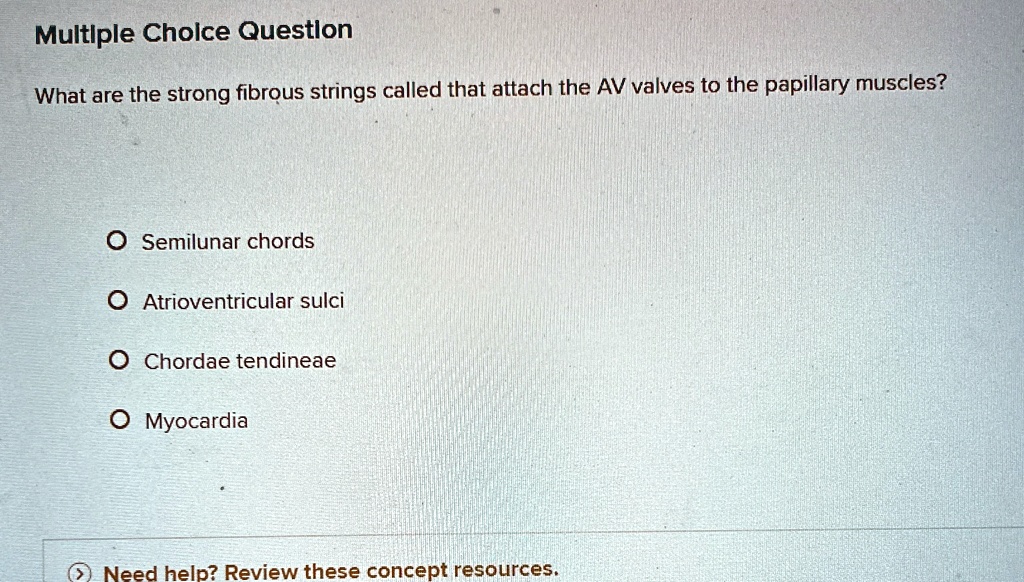 Multiple Choice Question What are the strong fibrous strings called ...