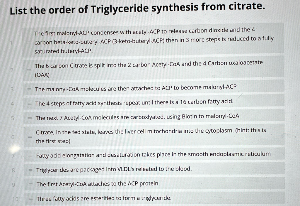 list the order of triglyceride synthesis from citrate 1 the first malonyl acp condenses with ...