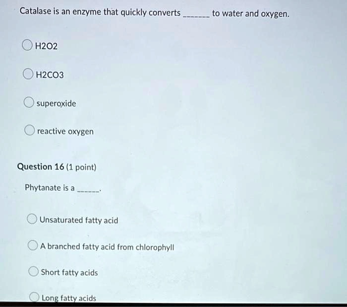 SOLVED: Catalase is an enzyme that quickly converts hydrogen peroxide ...