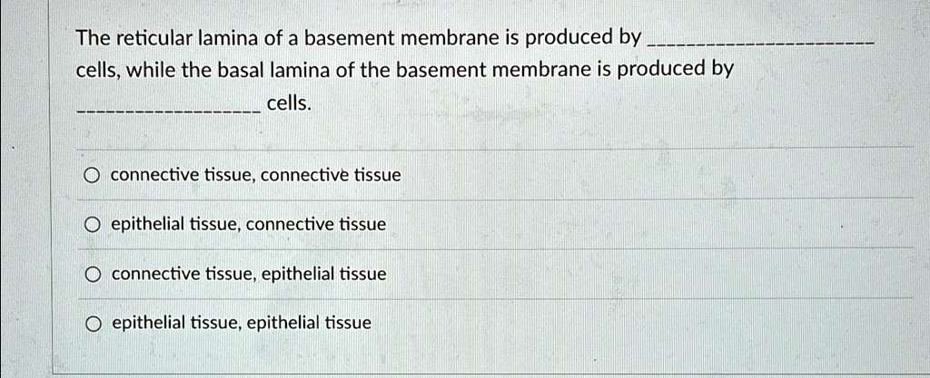 SOLVED: The reticular lamina of a basement membrane is produced by ...