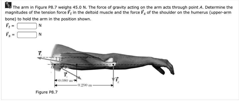 SOLVED: The arm in Figure P8.7 weighs 45.0 N. The force of gravity ...