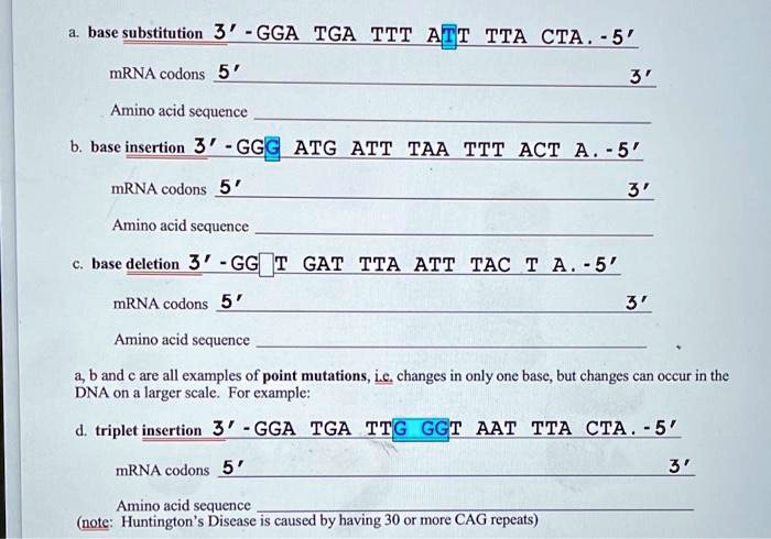 SOLVED: base substitution 3' - GGA TGA TTT AT TTA CTA.- 5' mRNA codons ...