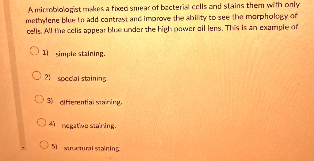 a microbiologist makes a fixed smear of bacterial cells and stains them ...
