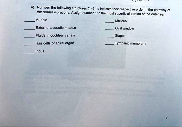 SOLVED: Number the following structures 1-9 to indicate their ...
