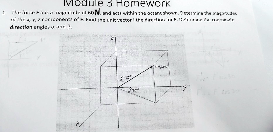 Module 3 Homework 1. The force F has a magnitude of 60 N and acts ...