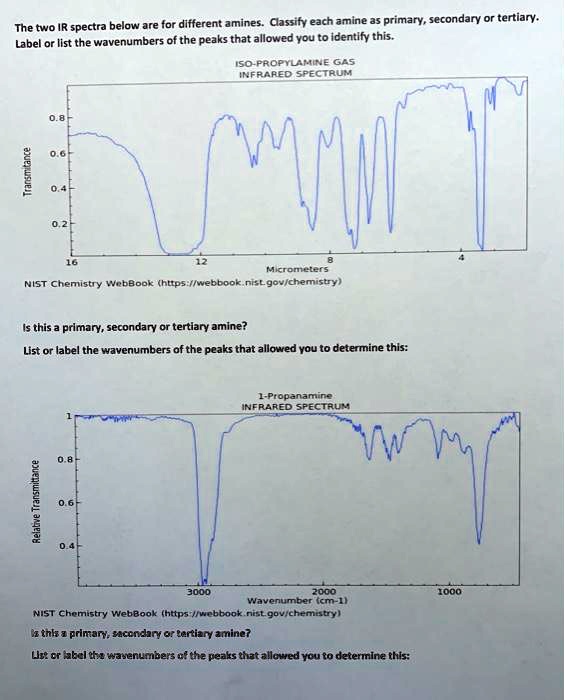 the two ir spectra below are for different amines dassify each amine ...