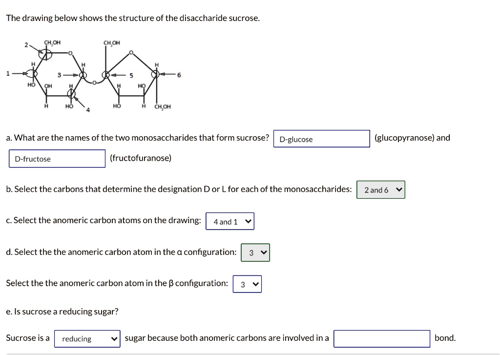 SOLVED:The drawing below shows the structure of the disaccharide ...