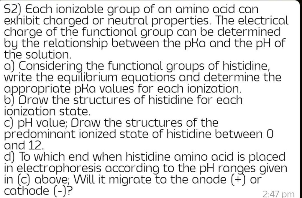 52 each ionizable group of an amino ocid can exhibit charged or neutral ...