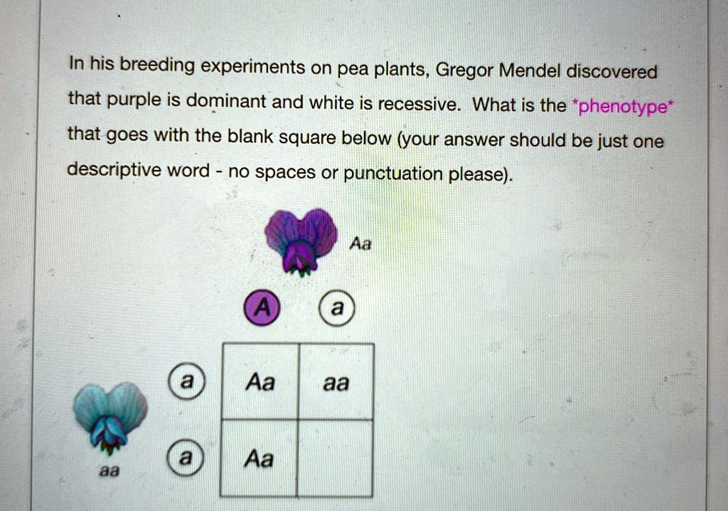 In his breeding experiments on pea plants, Gregor Mendel discovered ...