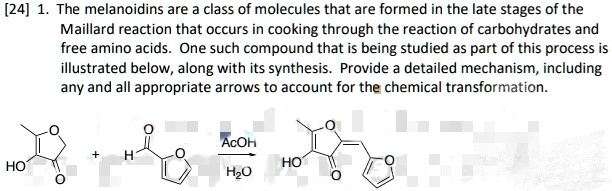 SOLVED: [24] 1 The melanoidins are class of molecules that are formed ...