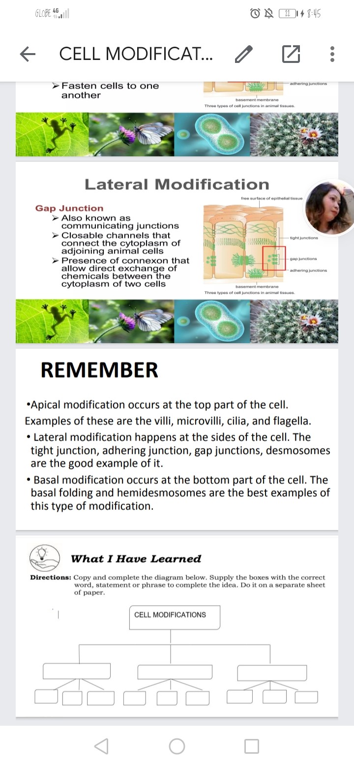 SOLVED: GLOBE 46 (1) 12148: 45 ← CELL MODIFICAT... Lateral Modification ...