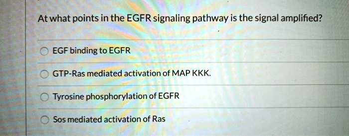 SOLVED: At what points in the EGFR signaling pathway is the signal ...