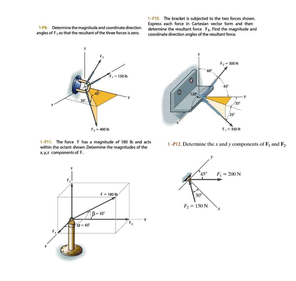SOLVED: 1-P10. The bracket is subjected to the two forces shown ...