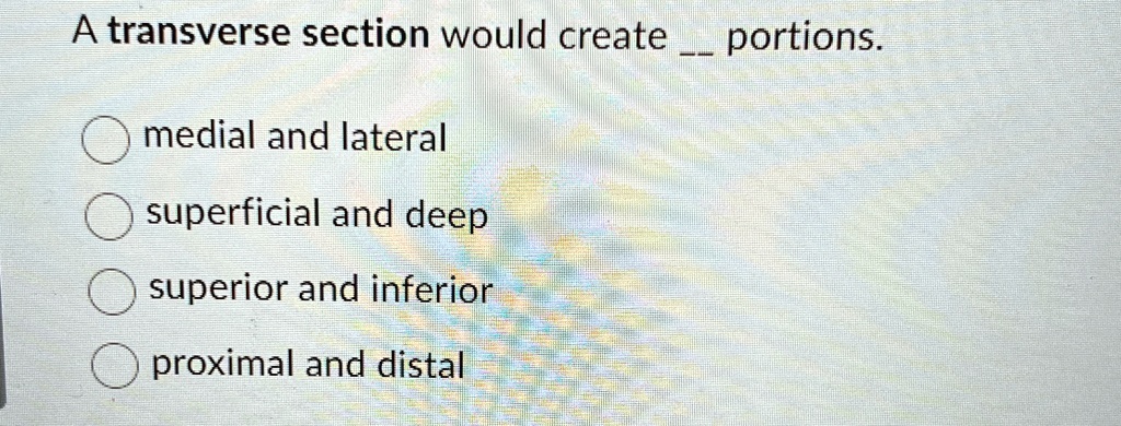 a transverse section would create portions medial and lateral ...