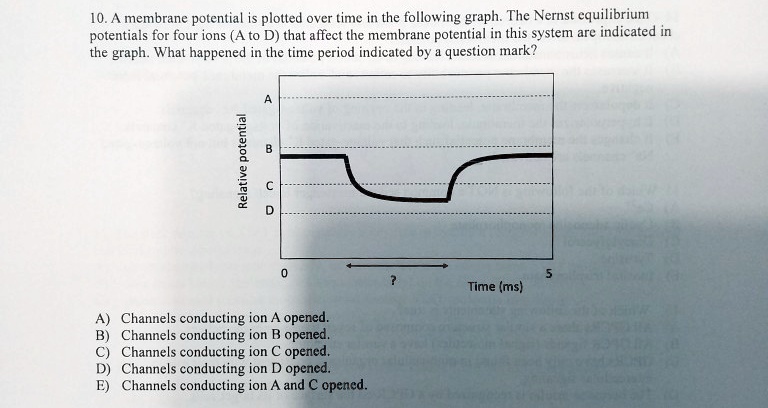 SOLVED:I0.A membrane potential plotted over time in the following graph ...