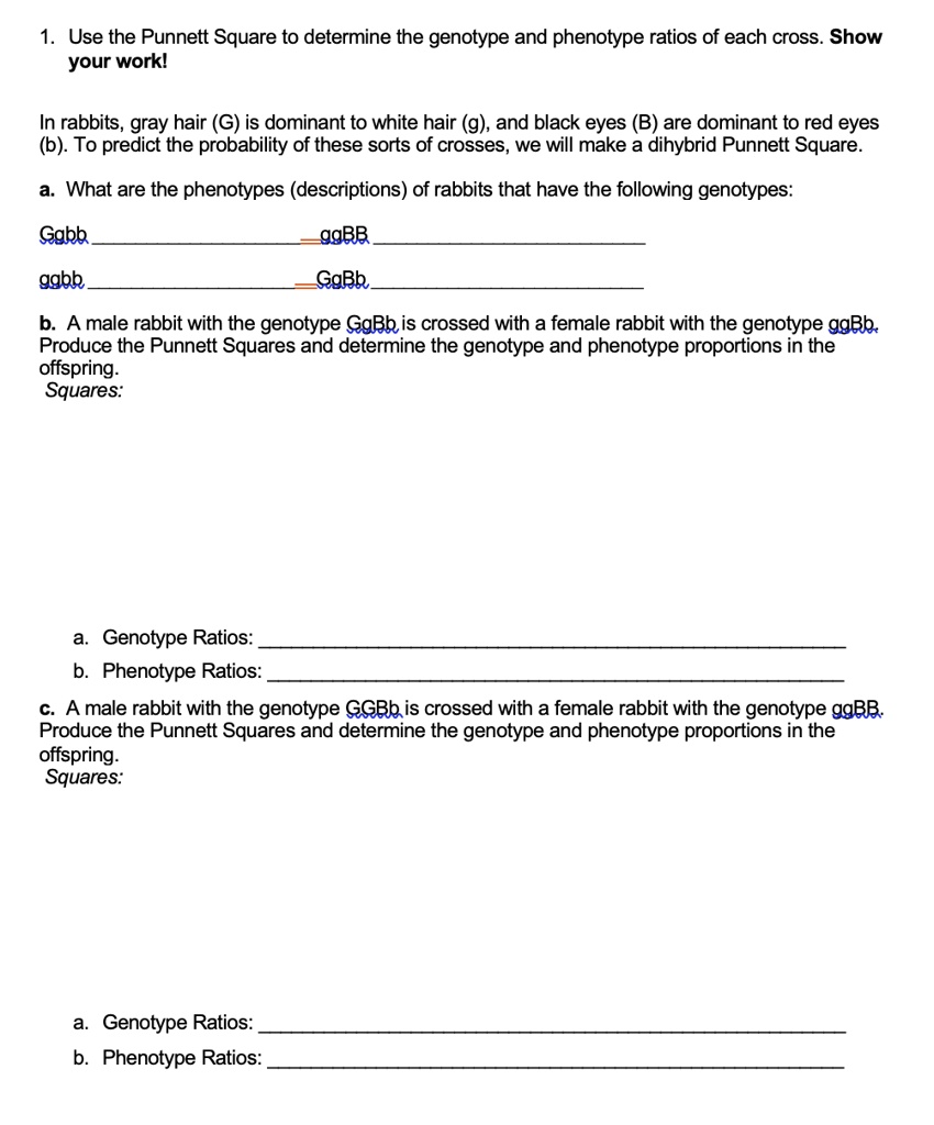 1. Use the Punnett Square to determine the genotype and phenotype ...