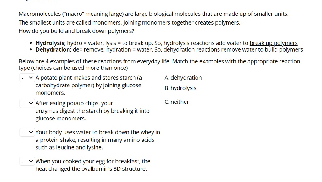 Macromolecules ("macro" meaning large) are large biological molecules ...