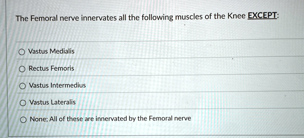 the femoral nerve innervates all the following muscles of the knee ...