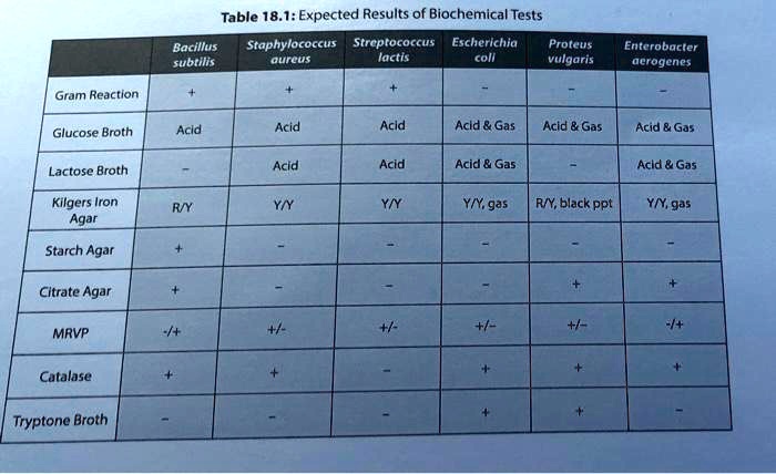 Table 18.1: Expected Results of Biochemical Tests Bacillus subtilis ...