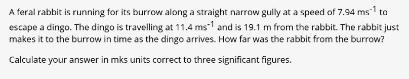 A feral rabbit is running for its burrow along a straight narrow gully ...