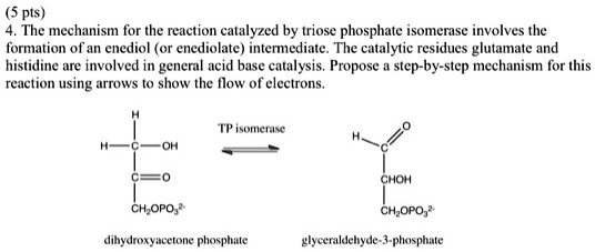 SOLVED: The mechanism for the reaction catalyzed by triose phosphate ...