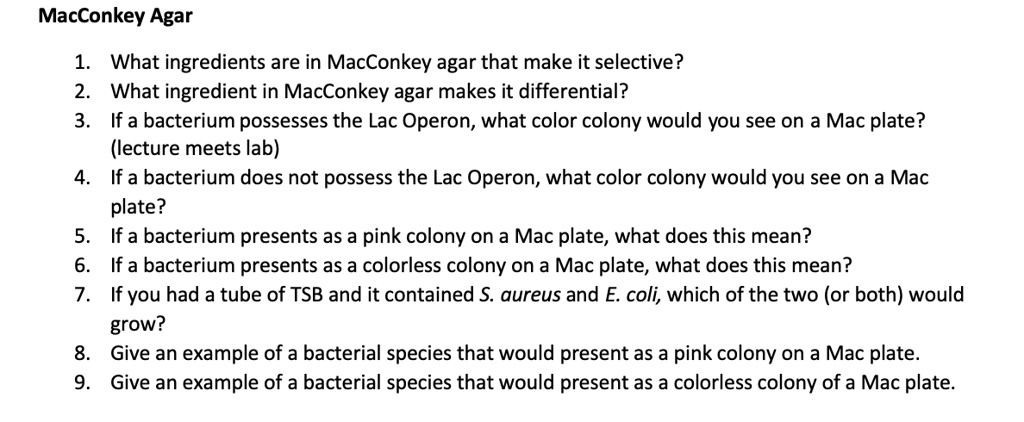 SOLVED: MacConkey Agar What ingredients are in MacConkey agar that make ...
